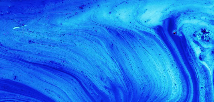 Uncomfortable resilience | ANZ