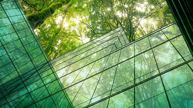 ANZ Sustainable Finance Insights, Q4 2023 | ANZ