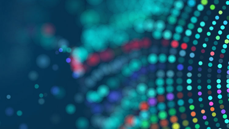 Data and digital insights capability for your business | ANZ