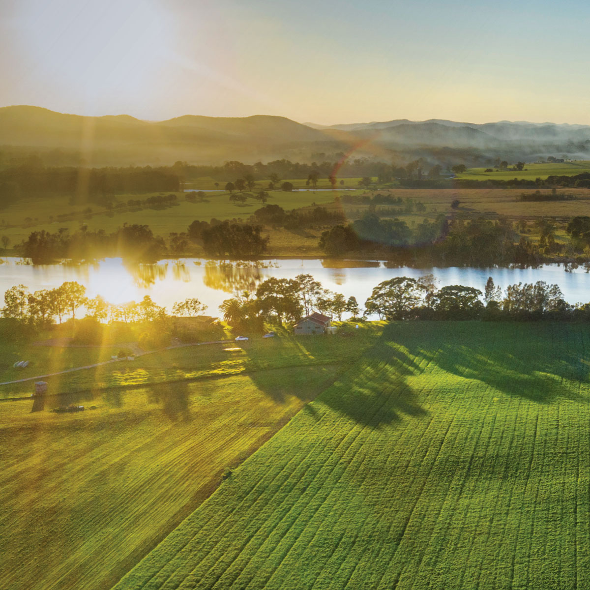 Read ANZ's Greener Pastures 2 - agriculture industry report | ANZ